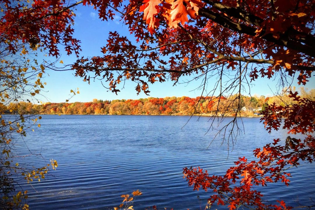 McCarrons LakeFront Alliance